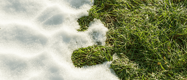 West Warwick Rhode Island Lawn, Weeds & Pest Control Services