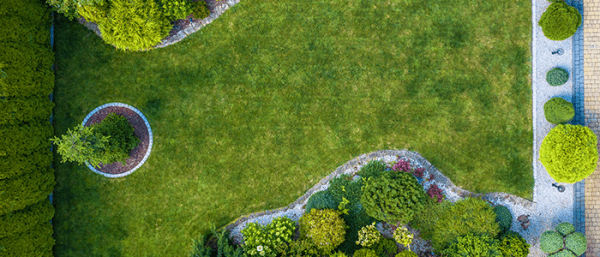 West Warwick Rhode Island Lawn, Weeds & Pest Control Services
