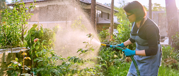 West Warwick Rhode Island Lawn, Weeds & Pest Control Services